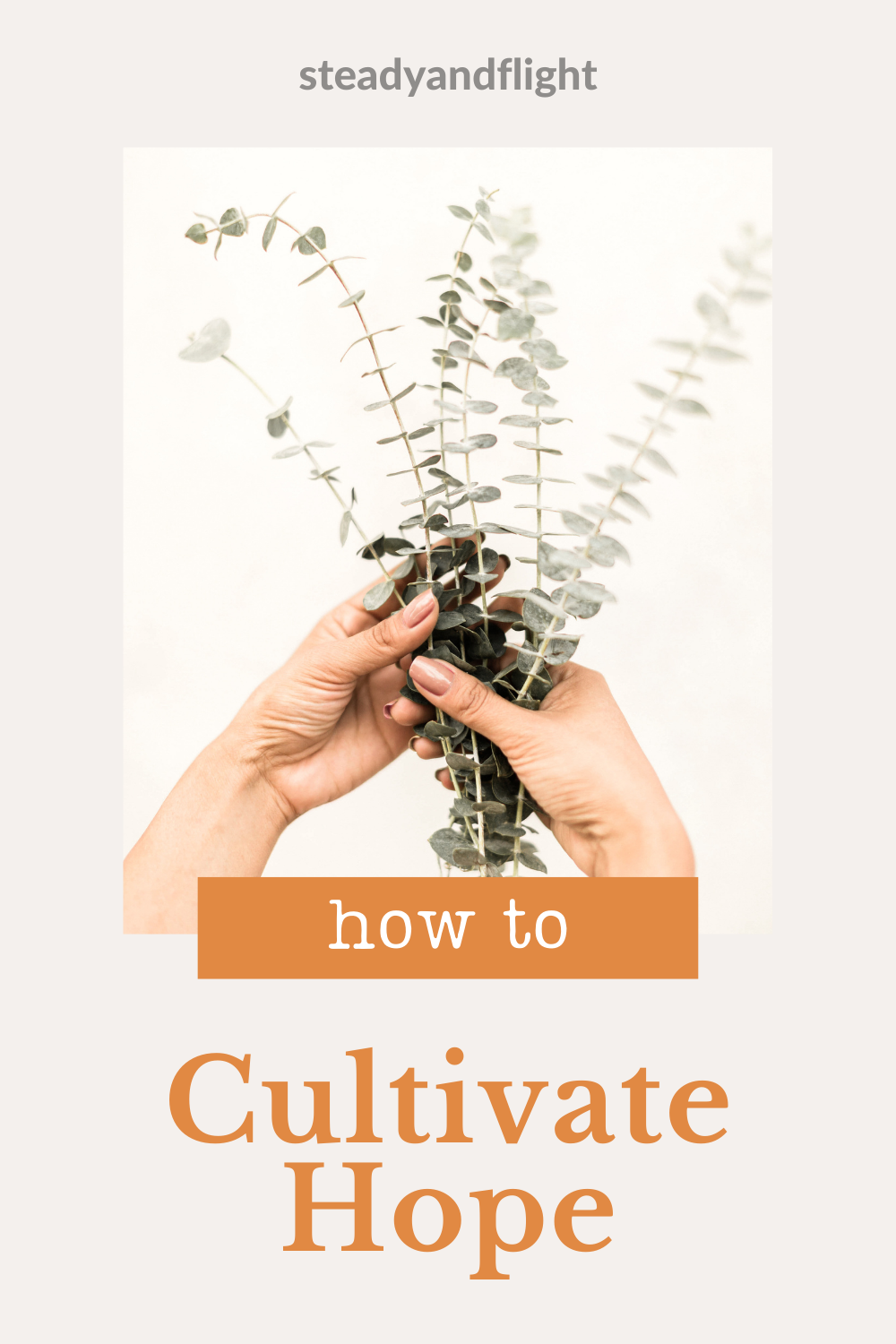 How to Cultivate Hope – steady + flight